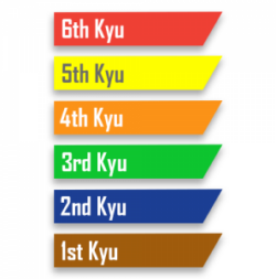 Kyu Grades | Judo Scotland